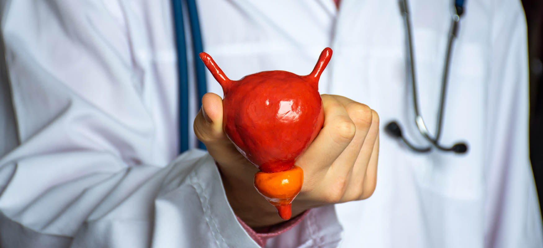 Czym jest prostata i jak zapobiegać jej przerostowi?